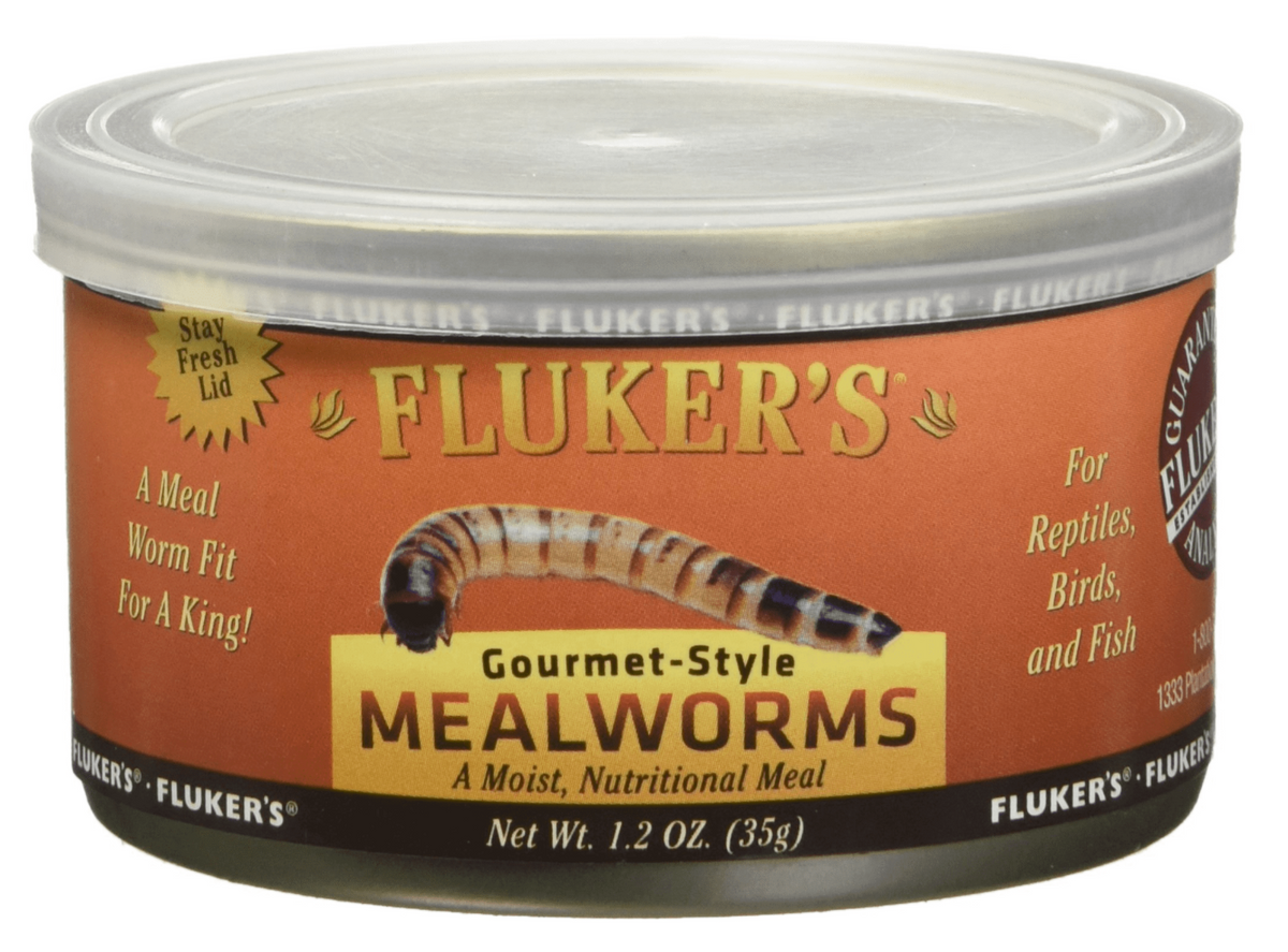 Natural Pet Nutrition Fluker's Freeze Dried Mealworms - 1.7 Oz Natural ...