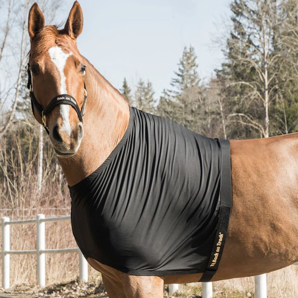 Shoulder Gaurd – Laura Jane's Pet Food and Supplies